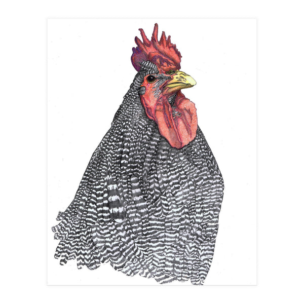 Chicken No.1 (Print Only) Art Print by J Lynes | Arthaus
